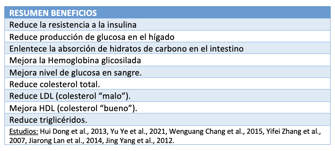 Berberina y sus Propiedades Medicinales - Nutrición Y Deporte ...
